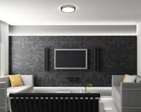 China 21W 5CCT Switch Control 14inch LED CCT Selectable Double Ring Ceiling Light CL-B14255C for sale