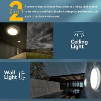 China Mid-century Modern Style 10inch/13inch/15inch LED Dome Light with 5CCT 2000K Night Light for sale