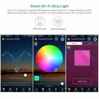 China 5m 10m 15m Indoor and Outdoor Bluetooth/Wifi Remote Control Smart Strip Lights for sale