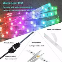 China 5m 10m 15m Indoor and Outdoor Bluetooth/Wifi Remote Control Smart Strip Lights for sale
