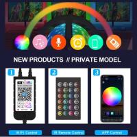 China 5m 10m 15m Indoor and Outdoor Bluetooth/Wifi Remote Control Smart Strip Lights for sale