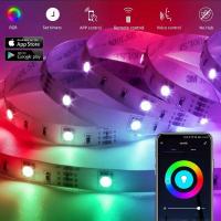 China 5m 10m 15m Indoor and Outdoor Bluetooth/Wifi Remote Control Smart Strip Lights for sale
