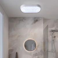 China Hotel Bathroom Kitchen Corridor LED Ceiling Lamp 20W 30W with Light and DIY Function for sale