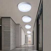 China CE/RoHS Listed Indoor Lighting Home Light for Outside Wall 20W 30W LED Ceiling Lamp for sale