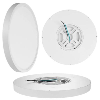 China Modern Design Style CCT Microwave Sensor Indoor Lamp 30*3cm Ceiling Light for Bathroom for sale