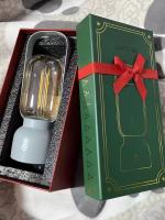 China Stylish 180lm Modern Design Table Lamp with Touch Control and Mosquito Repellent Light for sale
