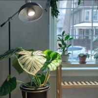 China LED Plant Grow Lighting 20W LEDPAR30 with 85V-265V Input Voltage and Other Base Type for sale