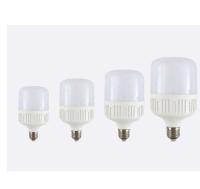 China Customization T shape LED bulbs with 1400lm Lamp Luminous Flux and Product Weight of 0.1kg for sale