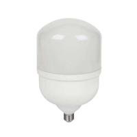 China Customization T shape LED bulbs with 1400lm Lamp Luminous Flux and Product Weight of 0.1kg for sale
