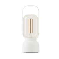 China 80 Ra Artistic Gifts Mosquito Repellent Light for Night Light Festival and Table Lamp for sale