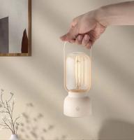 China Modern Design Atmosphere Mosquito Repellent Light with Night Light Festival and Hand Lamp for sale