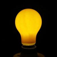 China Bug Repellent Lighting LED Bulb 530-590nm for AC 120/230V Input Voltage Keep Bugs Away for sale