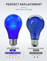 China Blue LED Bulb A19 9W E26 Non-Dim for Outdoor Christmas Lighting and Circuitry Design for sale