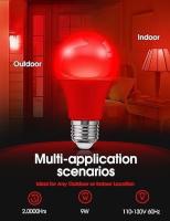 China E26 Red LED Bulb A19 9W for Valentine's Day Indoor Porch Thanksgiving Year Decoration for sale