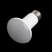 China Manual Button R39/R50/R63/R80 High Lumen LED Bulbs for Brightness and Energy Saving for sale