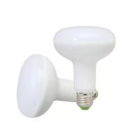China Manual Button R39/R50/R63/R80 High Lumen LED Bulbs for Brightness and Energy Saving for sale