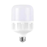 China 30w 50w T Shape LED Bulbs with 100lm/w Luminous Efficiency and AC Power Supply for sale
