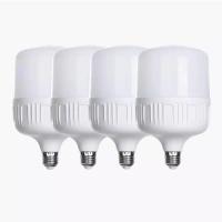 China 30w 50w T Shape LED Bulbs with 100lm/w Luminous Efficiency and AC Power Supply for sale