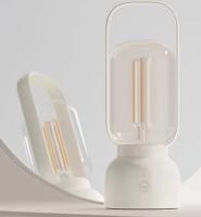 China DC Power Supply Mosquito Repellent Night Light Festival Table Lamp for Artistic Gifts for sale