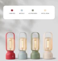 China DC Power Supply Mosquito Repellent Night Light Festival Table Lamp for Artistic Gifts for sale