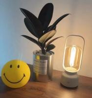 China 2700K Color Temperature Atmosphere Night Light for Hand Lamp and Mosquito Repellent for sale