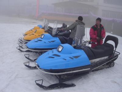China Yamaha 250CC Snowmotorcycle Snowmotorbike Blue Snowmobile For Men for sale