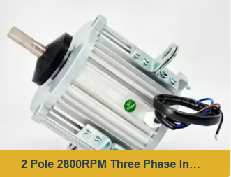 Three Phase Motors Factory
