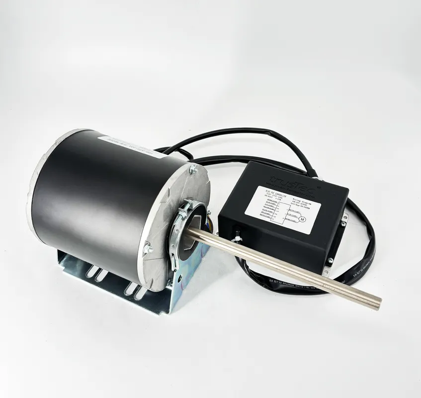 Programmable ECM Motor