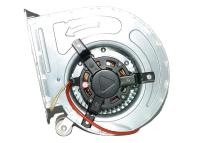 China 4250 m³/h Centrifugal Blower Fan Radial Fan 220V 1100RPM Custom Design for sale