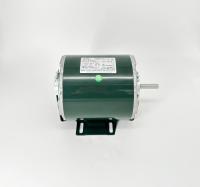 China TrusTec Heat Pump Fan Motor 250W 115/127V 1425/1725RPM 4P 50/60Hz for sale