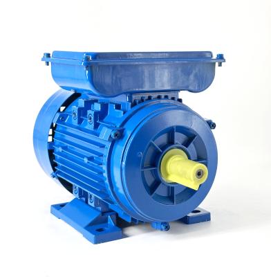 China Single Phase AC Induction Motor YL802-4 750W 1400RPM 220V 50Hz for sale