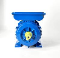 China Single Phase AC Induction Motor YL90S-4 1.1KW 1400RPM 220V 50Hz for sale
