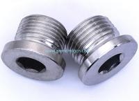 China Stainless Steel 304 Countersunk Hexagon Plug Male Thread 1/4 to 1 Inch BSP NPT Hydraulic Pipe Plug for sale