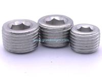 China SS304 Countersunk Hexagon Plug M16 M18 M20 M22 M27 M30 M33 M36 M42 M60 Male Thread for sale