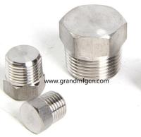 China 4 Inch Stainless Steel 304 316 Hex Plug Precision Machined Parts CNC Custom SS304 Fittings OEM for sale