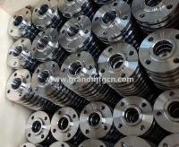 China Stainless Steel 304 316 Forged Flange Pipe Fitting SS304 Flange Custom OEM for sale