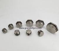 China Magnetic Oil Drain Plug M24x1.5 M42x1.5 Stainless Steel 304 316 Custom Threads Available for sale