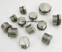 China Magnetic Oil Drain Plug M24x1.5 M42x1.5 Stainless Steel 304 316 Custom Threads Available for sale