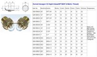 China Brass Oil Level Sight Glass Gauge Plugs NPT 1/2 3/4 Heavy Duty Trucks 3D Dome Clear Glass for sale