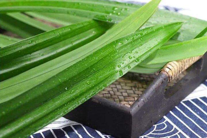 Natural Herbal Ingredients for Pandan Mung Bean Dessert