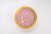 China Winter Nourishing Taro Paste Lotus Seed Soup Including White Fungus Ideal for Seasonal Health and Comfort for sale