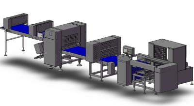 China ZPS900 Modular Frozen Pizza Manufacturing Equipment with Siemens Servo Motor and Turnkey Bakery Solution for sale