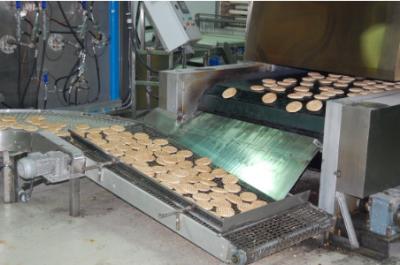 China Full Auto Pita Production Line 850mm Belt Width with Dough Sheeting System for Pizza Base & Naan Bread for sale