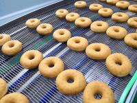 China ZDN900 Automatic Donut Machine with 304 Stainless Steel & Siemens PLC - 800mm Production Line for sale