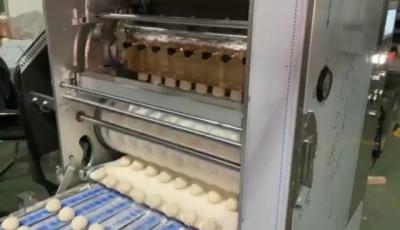 China PLC-Controlled Traditional Tortilla Machine Line - 15,000 pcs/hr Capacity, 15-35cm Size Range, 1000mm Dough Width for sale