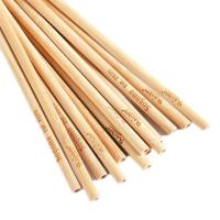 China Reusable Smoothie Straws Individually Wrapped Organic Bamboo Straws 20CM for sale