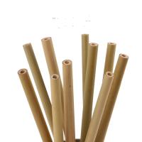 China 20cm Green Biodegradable Straws Bamboo Fibre Straws For Beverage for sale