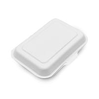 China Takeaway Bagasse Lunch Box Sugarcane Disposable Containers 600ml for sale