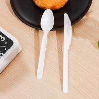 China Compostable Disposable PLA Bioplastic Spoons Bulk Utensils 5.7 Inch for sale