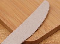 China 190mm Organic Wheat Fiber Disposable Knife Cutlery Eco Friendly For Travel for sale